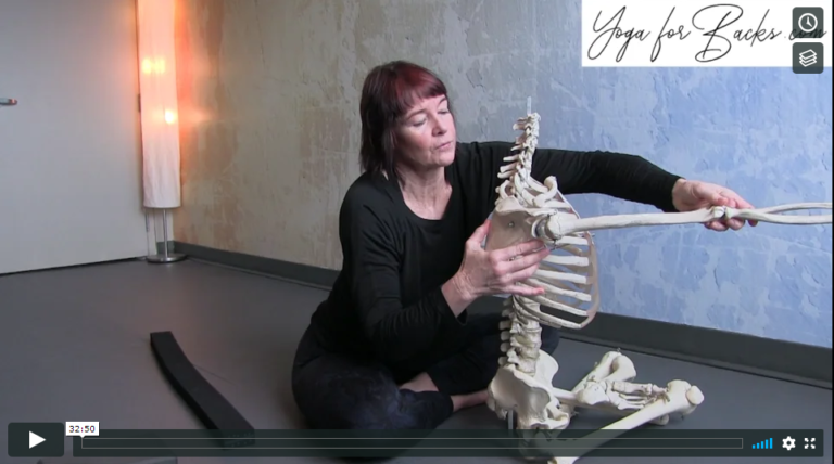 Strong & Mobile Shoulders – Back to Mobility